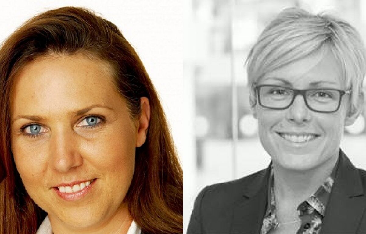 Education leadership changes underway at Ark – Ark